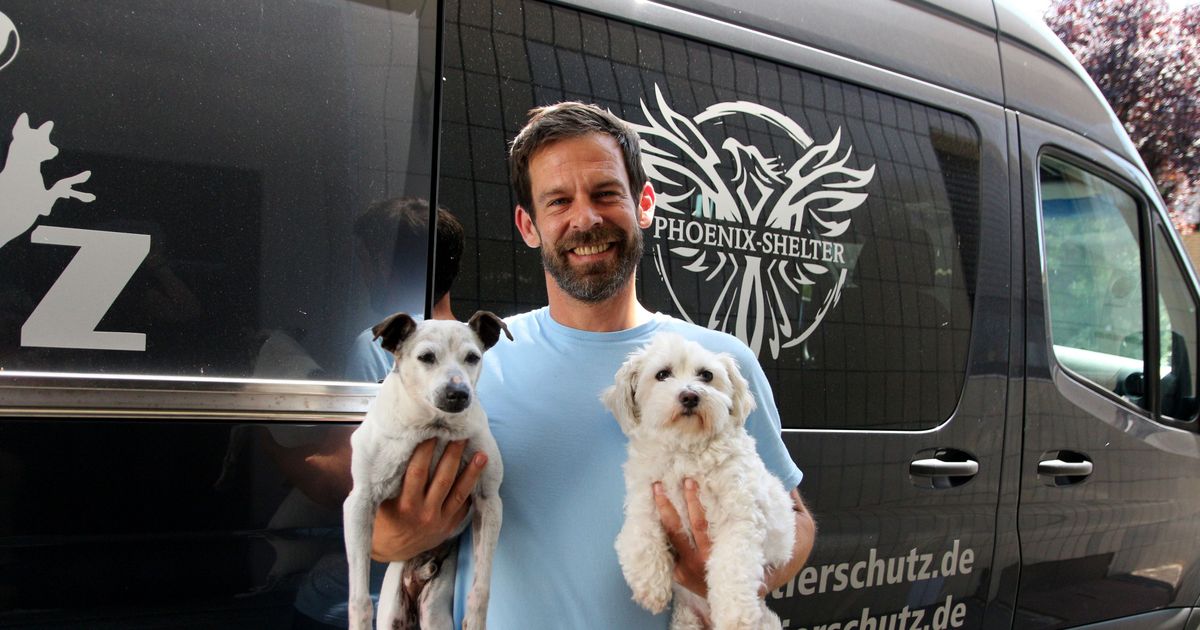 Pulheim: Marcel Tong plant ein Tierheim im Rhein-Erft-Kreis - Rundschau ...