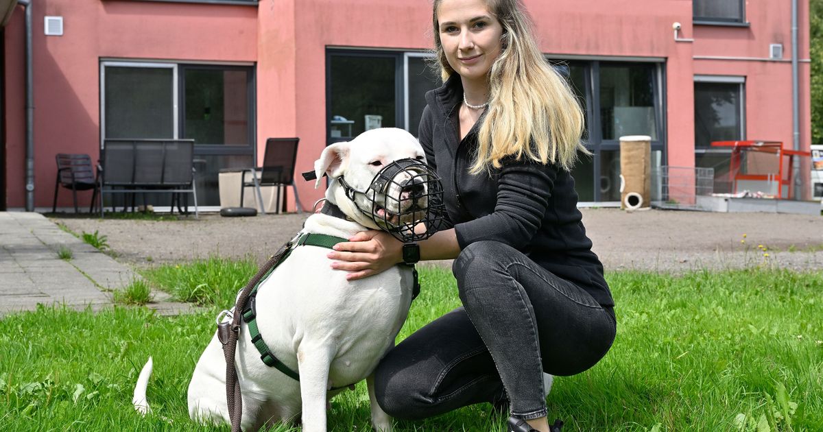 Kürten: Neue Leiterin hat viele Pläne für Tierheim - Rundschau Online