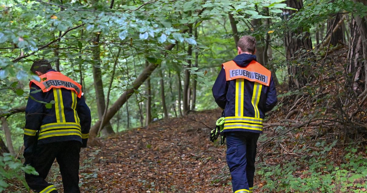 Reiterin nach Sturz schwer verletzt im Wald in Alfter vermisst ...