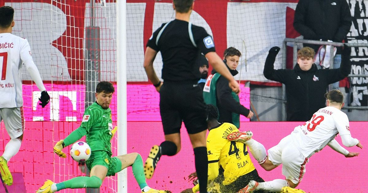 1. FC Köln: Jan Thielmann ist die neue Hoffnung im Sturm - Rundschau Online