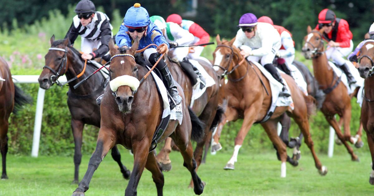 Galopp in Köln-Weidenpesch: Sieben Rennen auf dem Programm - Rundschau ...
