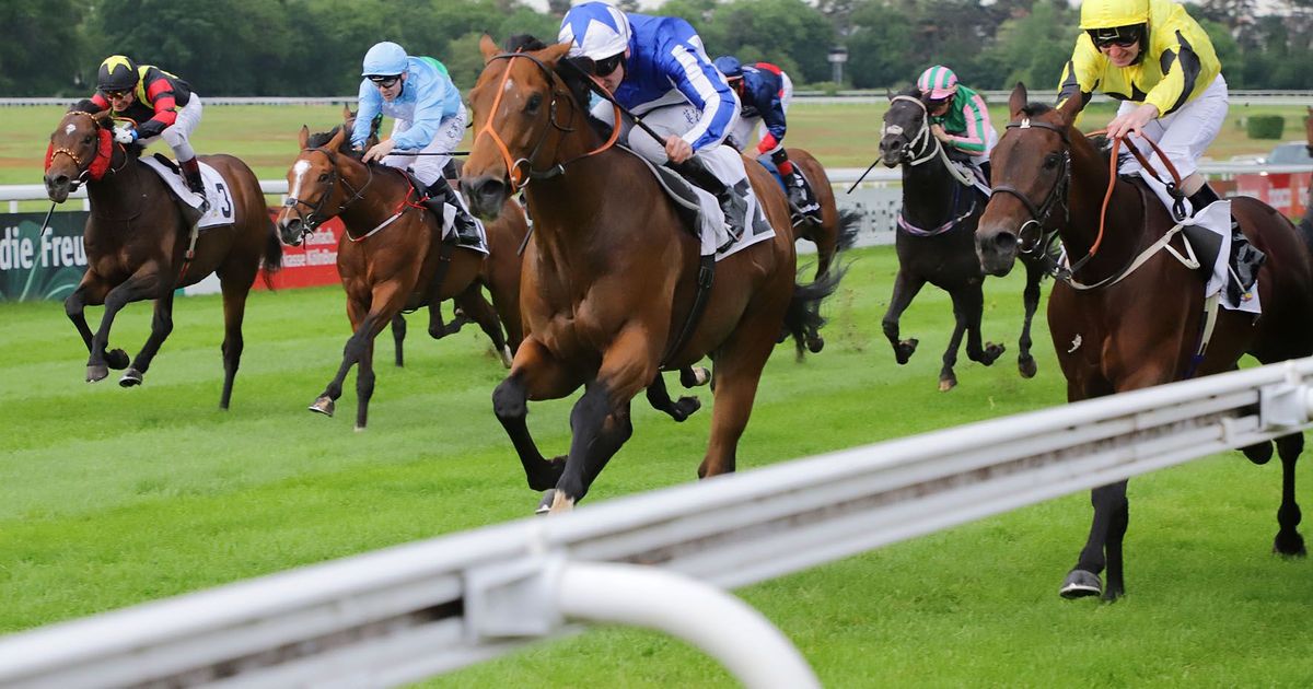 Galopp Köln: Das sind die Starter beim „Preis des Winterfavoriten ...