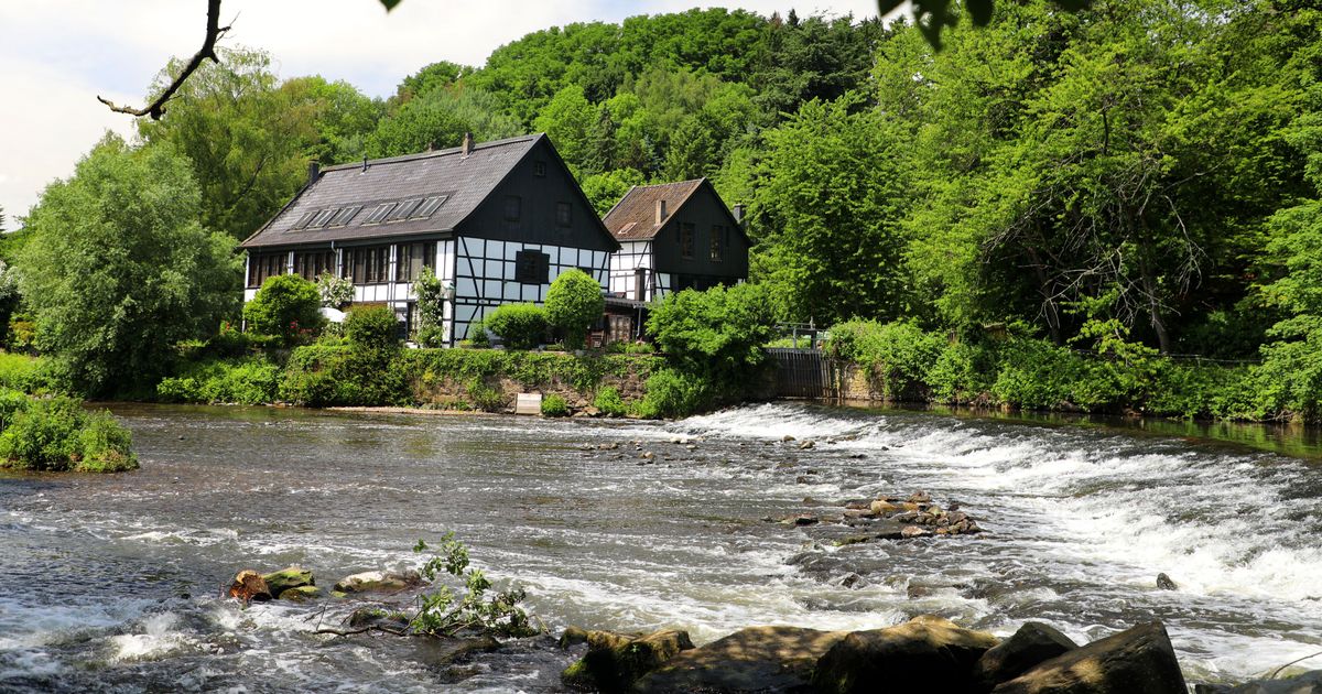 Wupper: Wie eine Kloake wieder zu einer Lebensader wurde - Rundschau Online