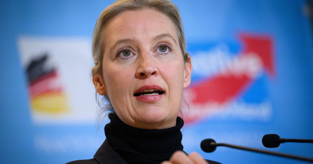 Das AfD-Wahlprogramm: Euro-Ausstieg und harte Linie bei Migration ...