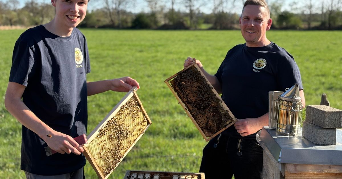 Jüngster Bienensachverständiger Deutschlands passt im Kreis Euskirchen ...