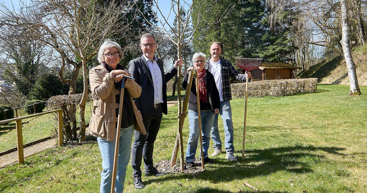 Öko-Projekt: Nettersheim pflanzt Bäume auf brachliegenden Flächen ...
