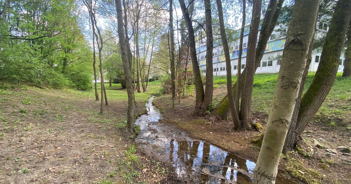 Brühl: Der Donnerbach könnte bald in den Heider Bergsee münden ...