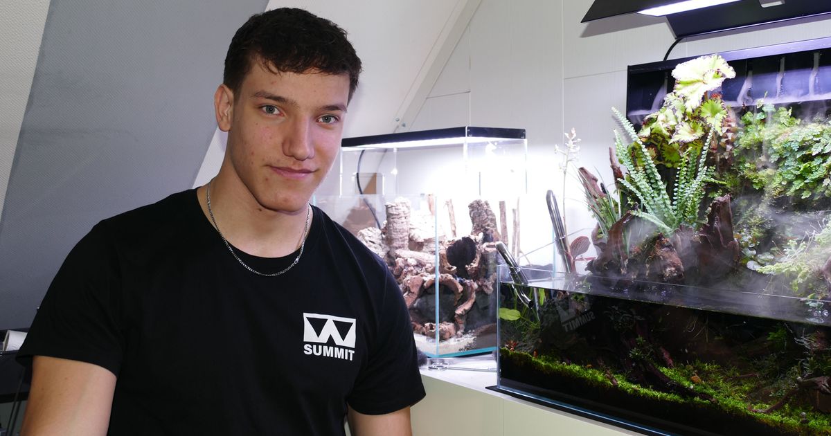 Fische bloß Beiwerk: Vico Friedsam aus Troisdorf gestaltet Aquarien ...