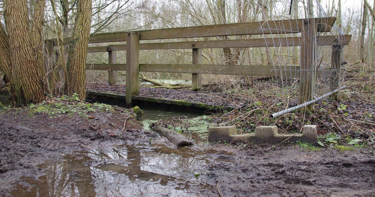 Bergheim-Paffendorf: Neue Erft-Brücke wird erst im April fertig ...