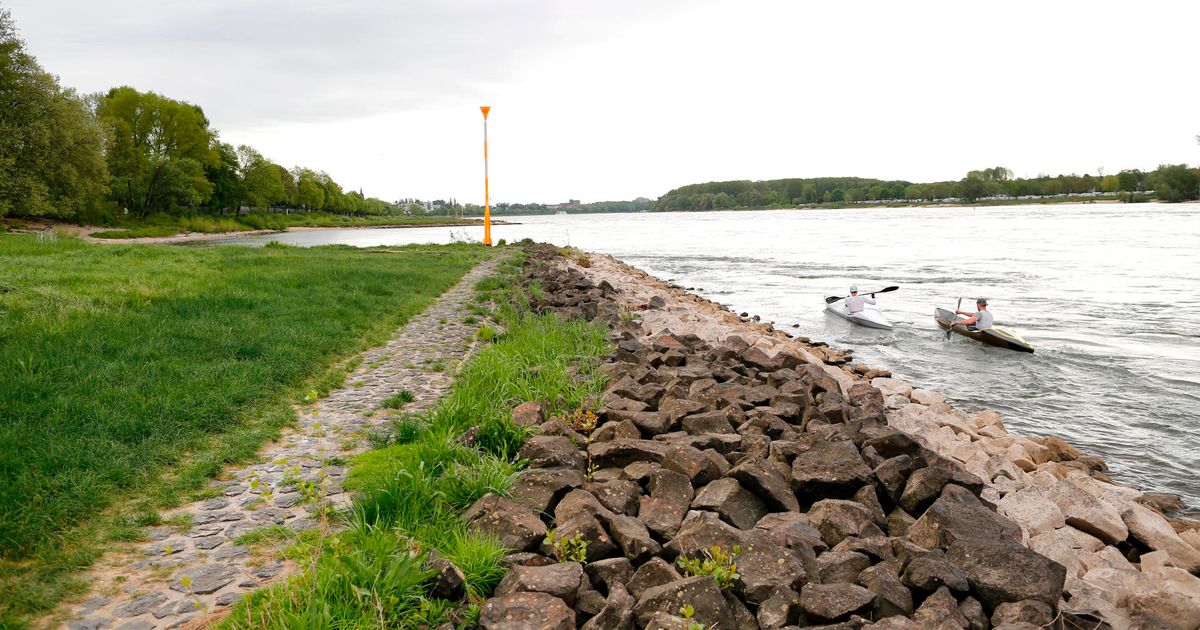 Veedels-Check: So haben die Kölner für Westhoven abgestimmt - Rundschau ...