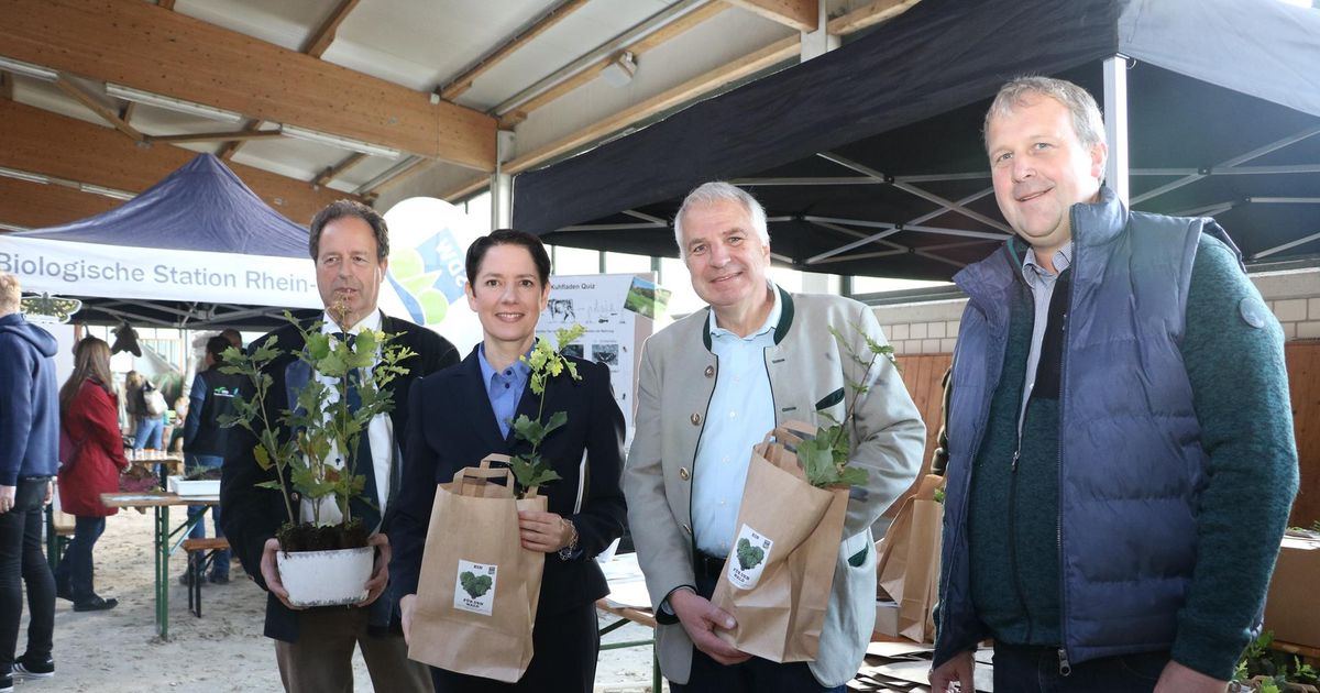 Rhein-Berg: Das steckt hinter dem „Virtuellen Wald“ - Rundschau Online
