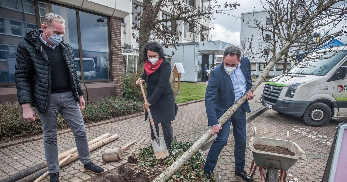 Evl Leverkusen Strompreis